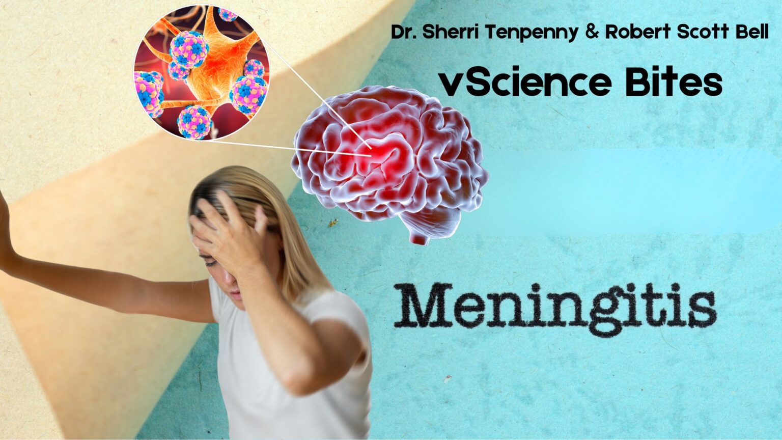 Meningitis - Learning4You